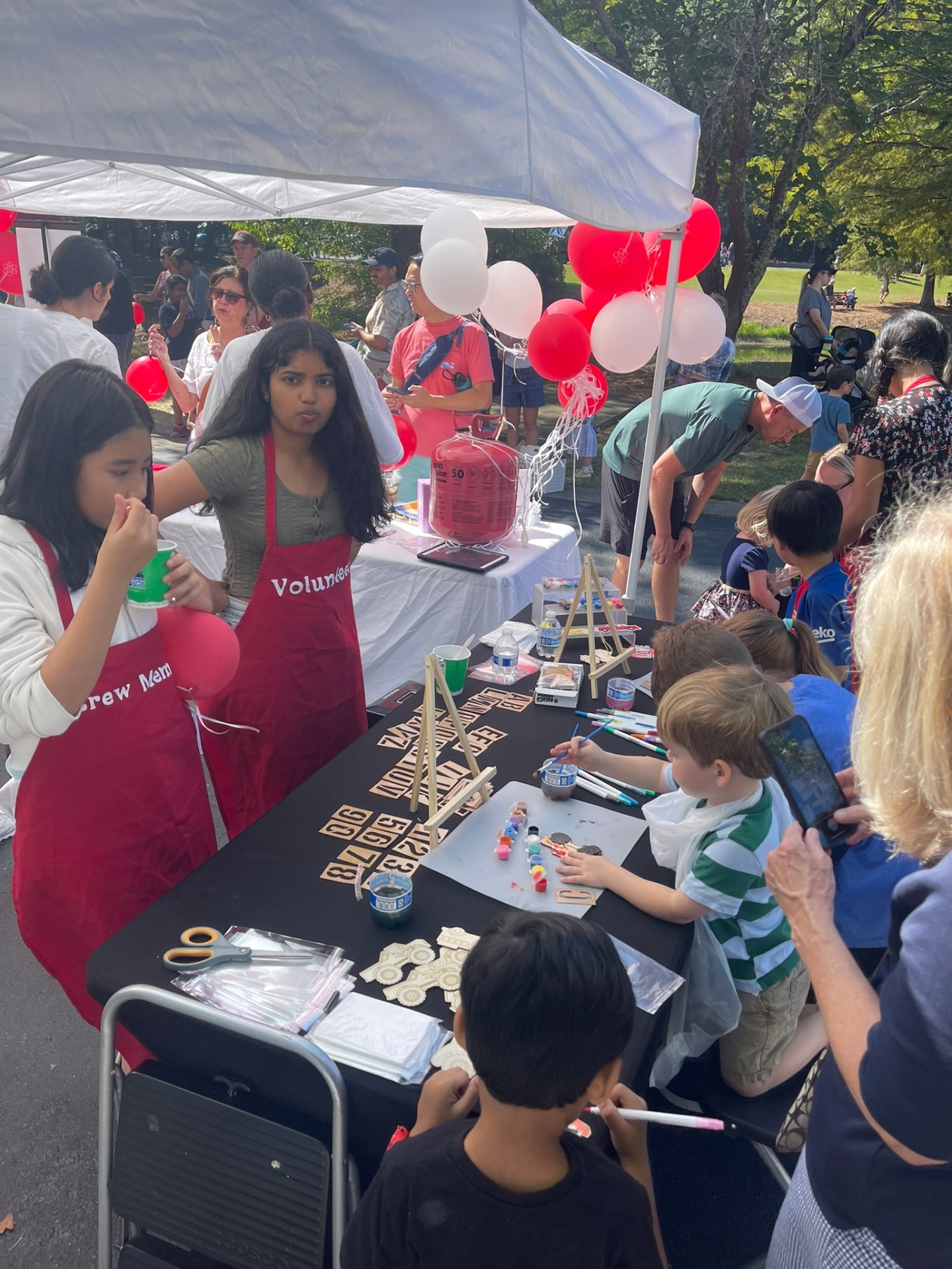 STEM AMBASSADORS CLUBS – National STEM Society